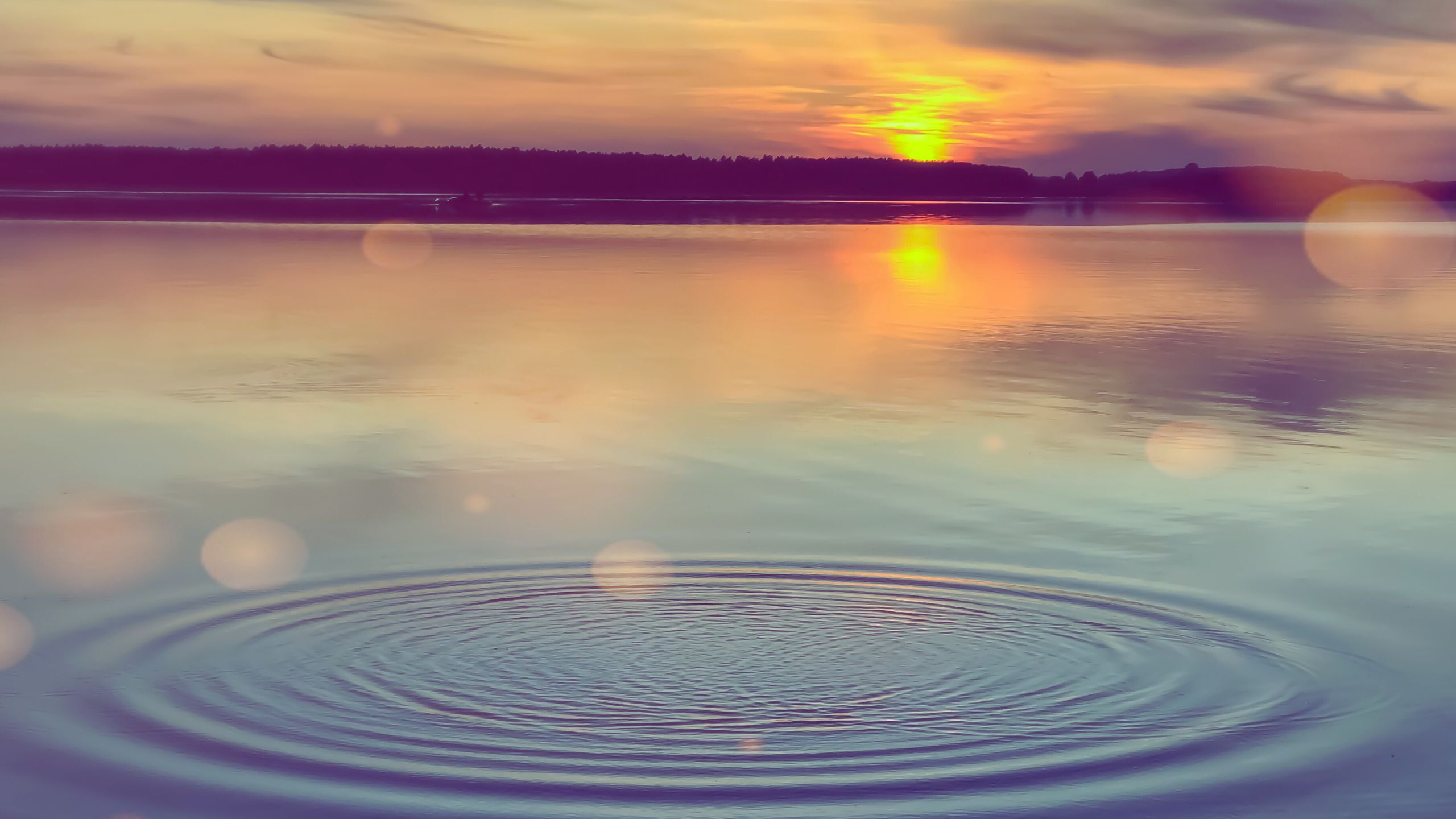 About – Sue Armstrong | Holistic Health Counselor
